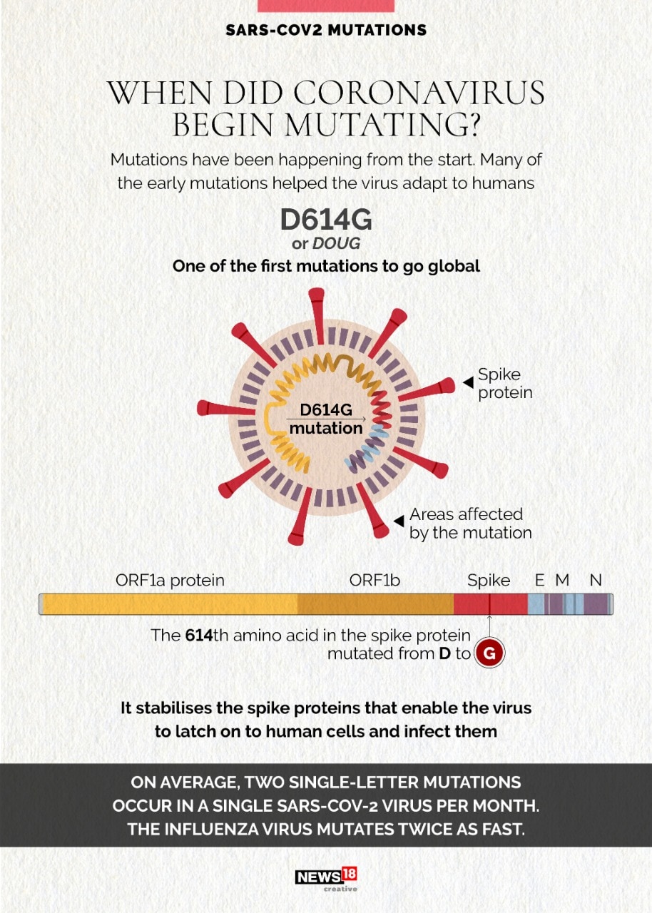 In Pics: New Mutations of Covid Variants Spell Danger; Know All About ...