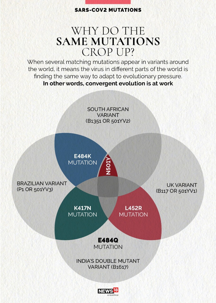 In Pics: New Mutations of Covid Variants Spell Danger; Know All About ...