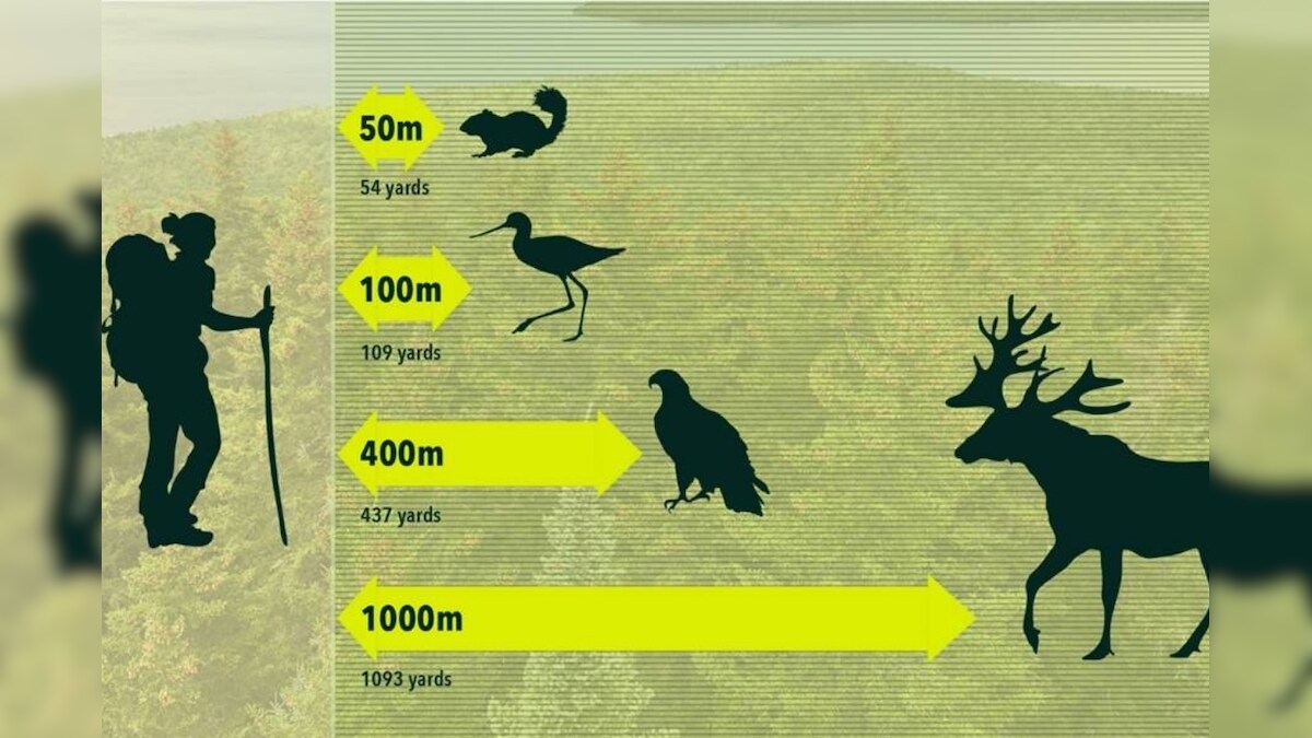 Stay Back: Maintaining Social Distance from Animals Could Have a Big ...