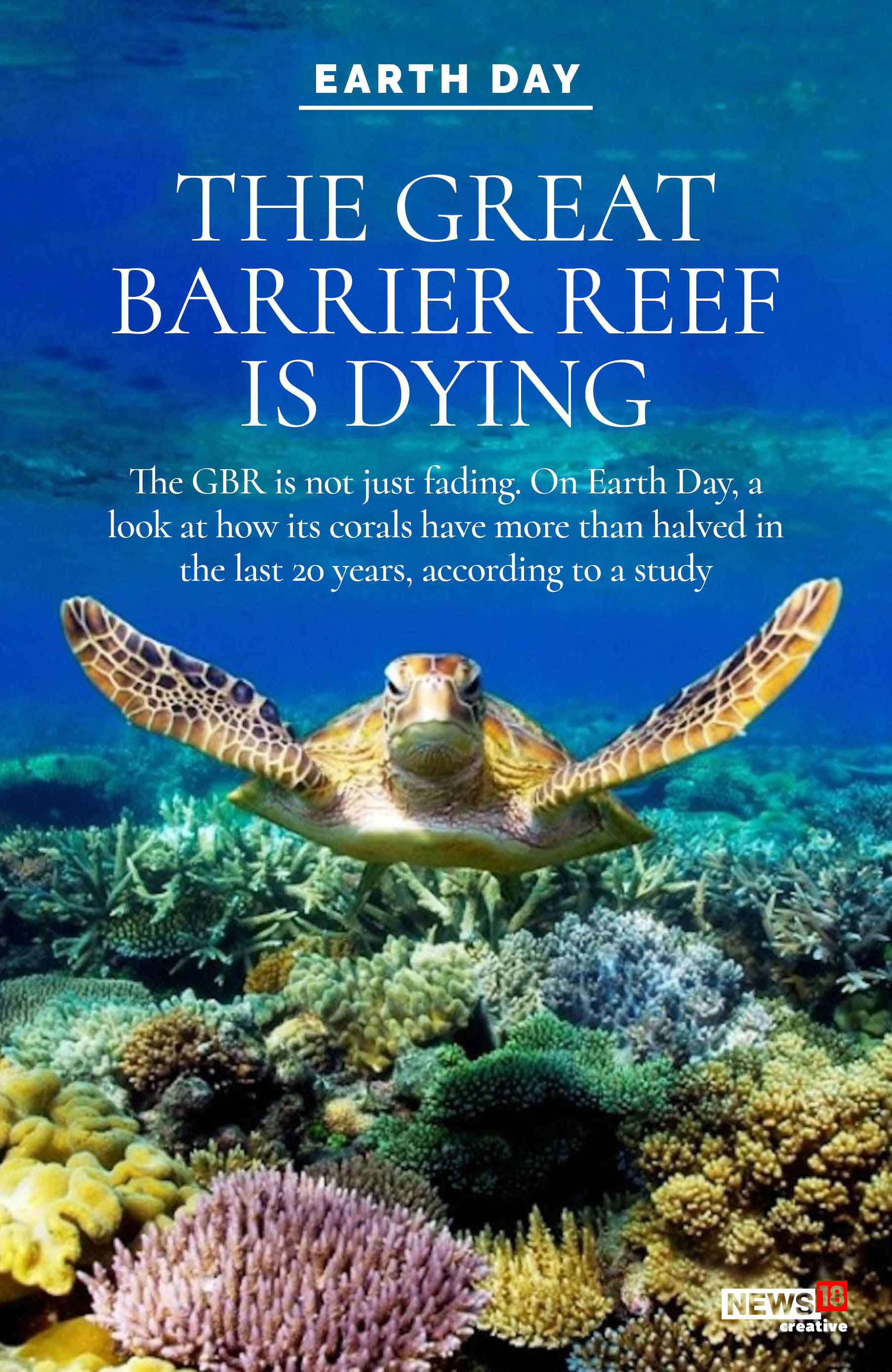 Earth Day: A Look at How Great Barrier Reef Corals Have More Than ...