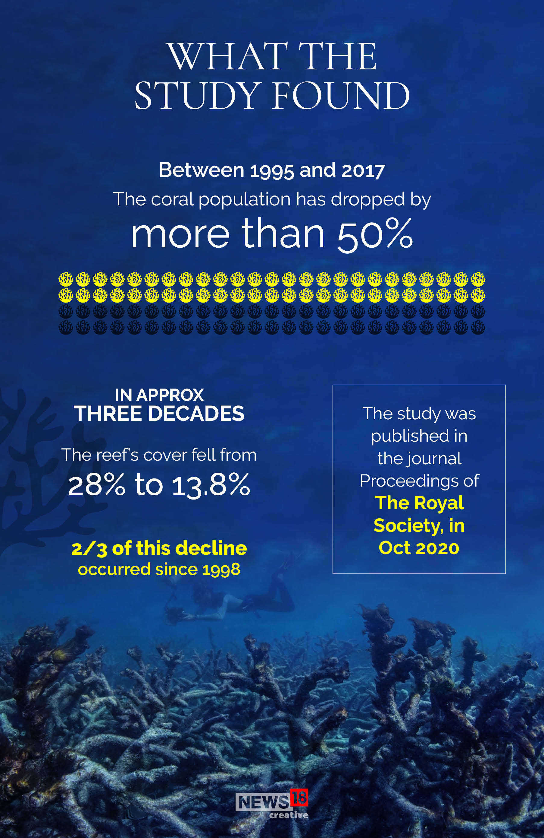 Earth Day: A Look at How Great Barrier Reef Corals Have More Than ...