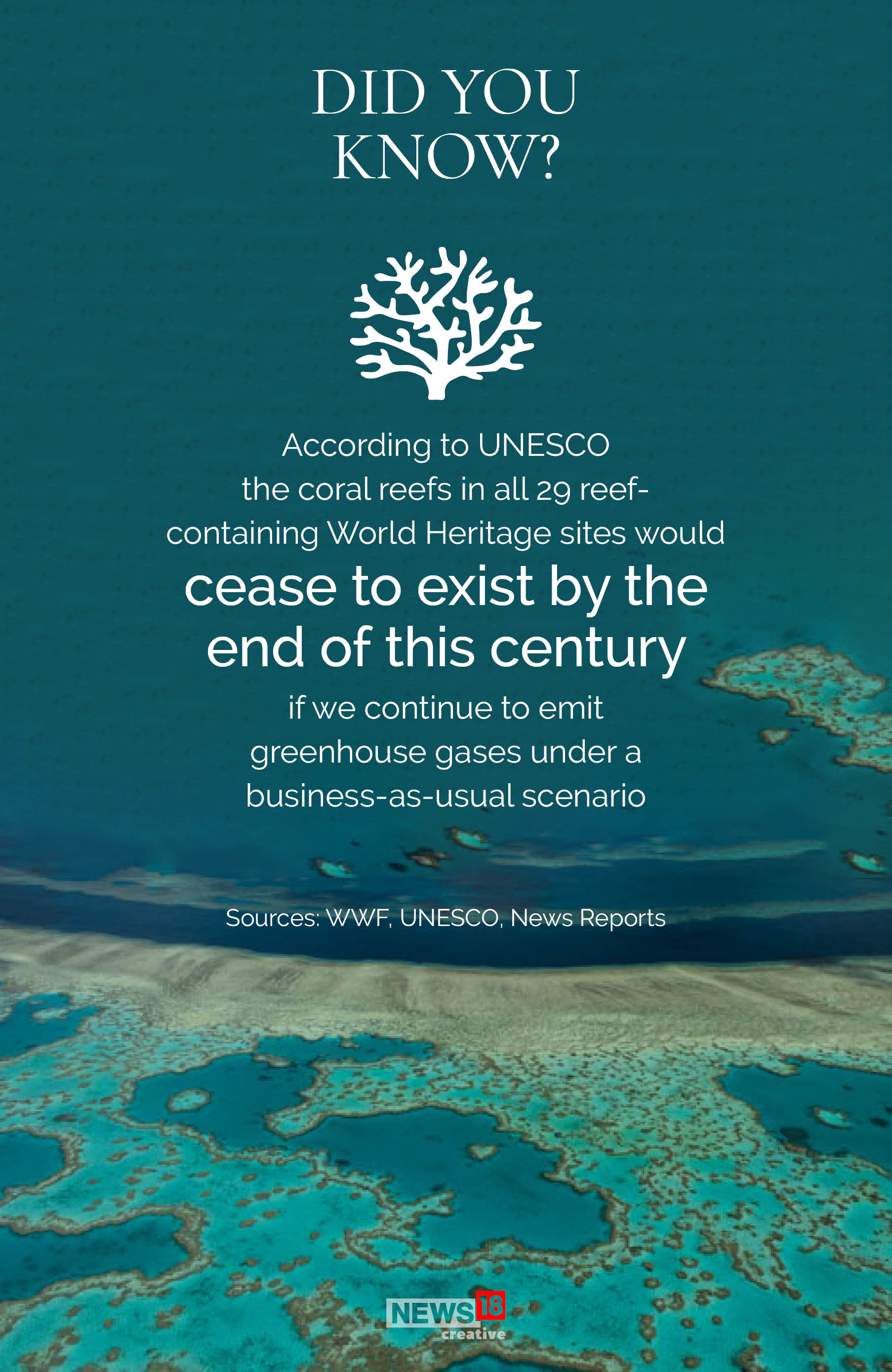 Earth Day: A Look at How Great Barrier Reef Corals Have More Than ...