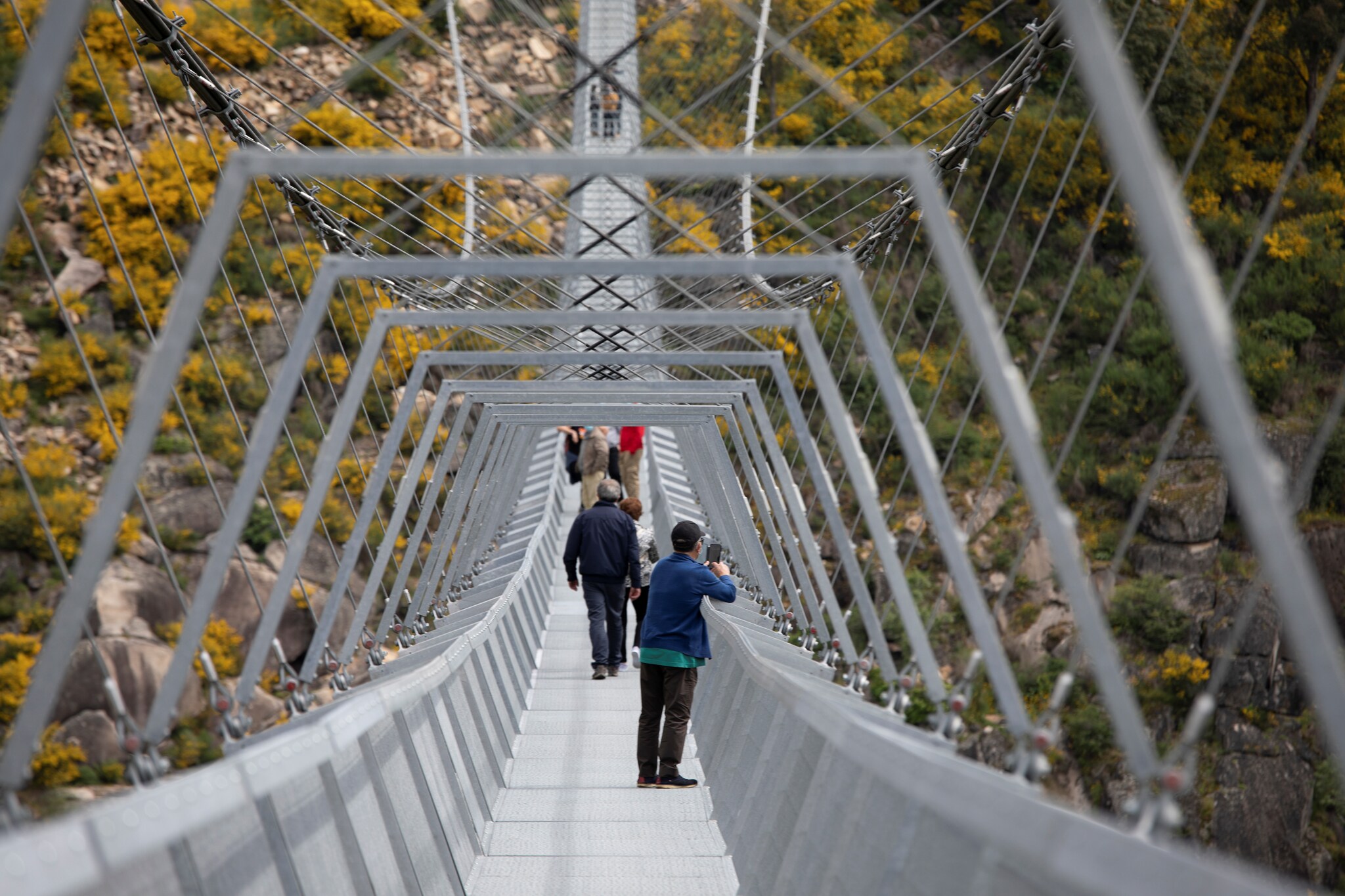 'Not For The Faint of Heart': World's Longest Pedestrian Suspension ...