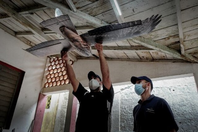 Disguised as Sparrowhawks, Mechanical Bird Drones Designed by Cuban ...