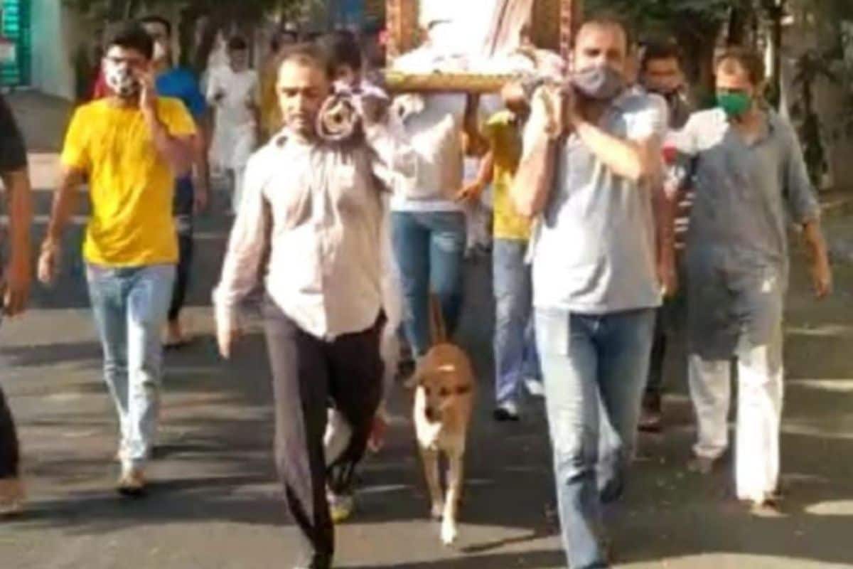 Gujarat Sadhvi's Faithful Dog Walks 5 Km for Her Funeral Procession ...