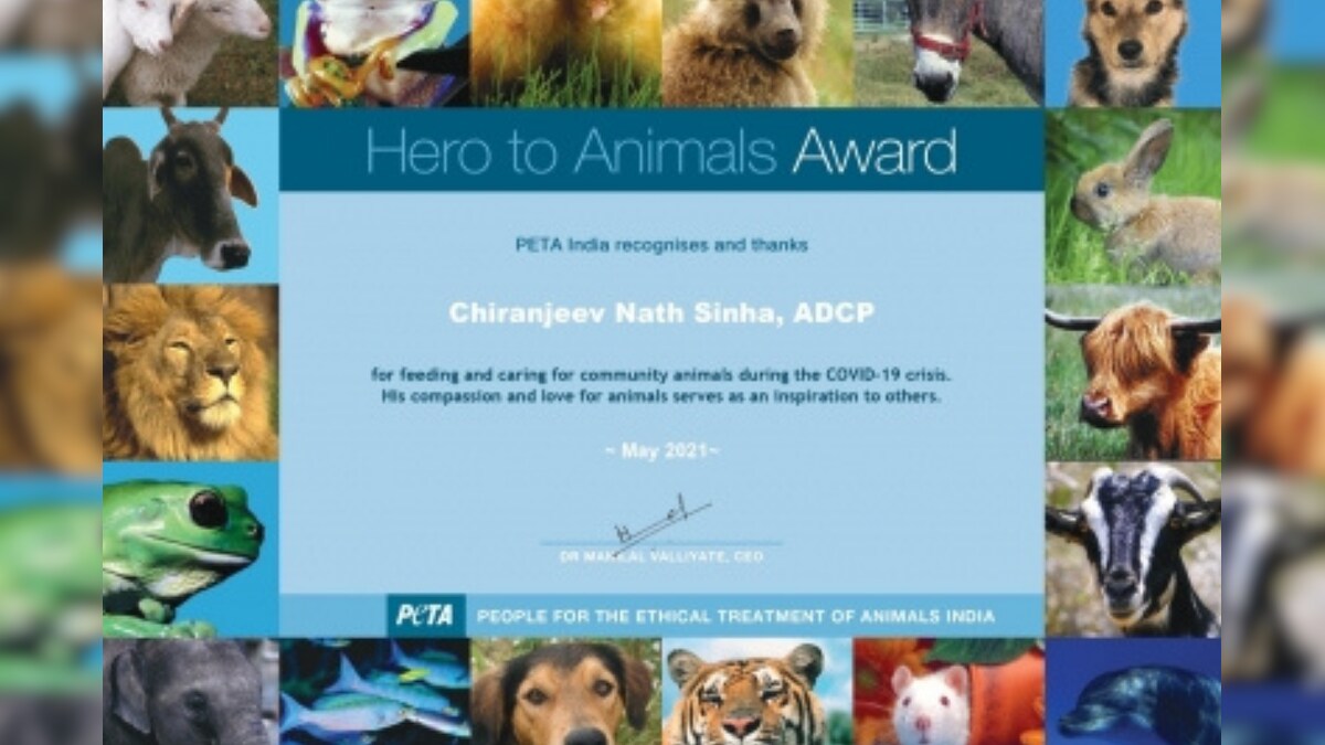 UP Police Officer Who Fed Stray Animals During Lockdown Awarded by PETA ...