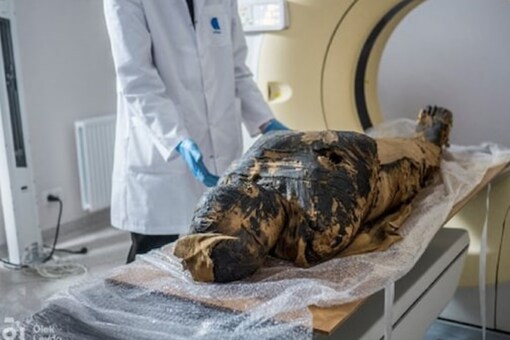 Mummified Corpse of Cult Leader Enshrined with Christmas Lights Found ...