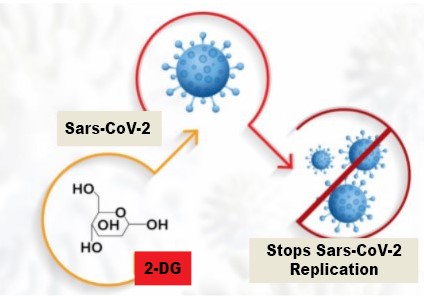 Why All Eyes Are on DRDO's 2-DG, The New Drug Launched Commercially ...