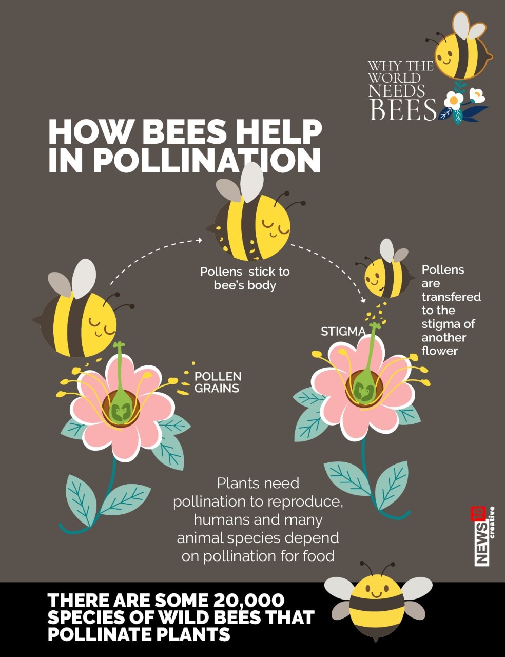 In Pics | On World Bee Day, Here's a Look at the Most Important ...