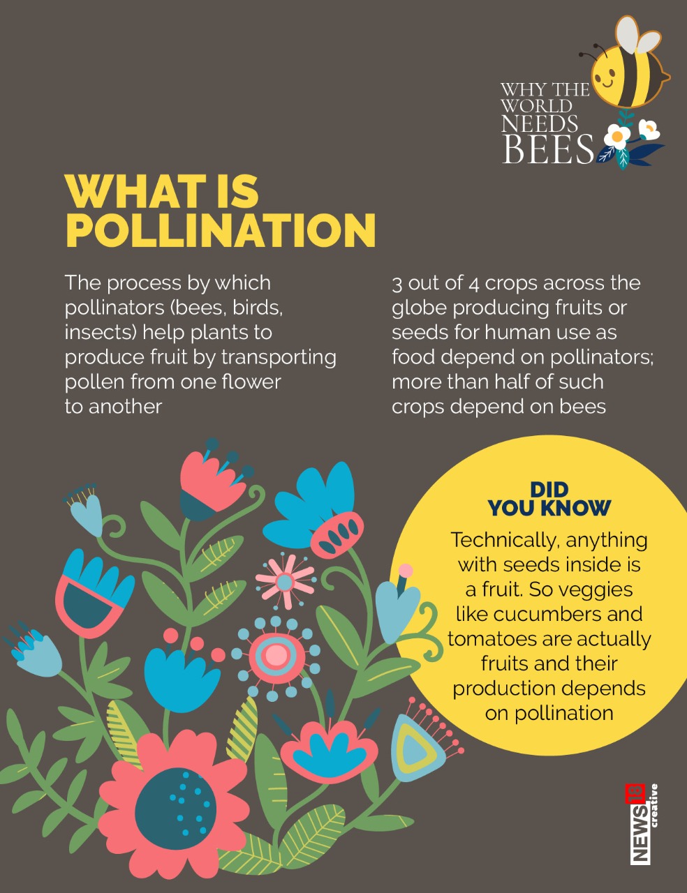 In Pics | On World Bee Day, Here's a Look at the Most Important ...