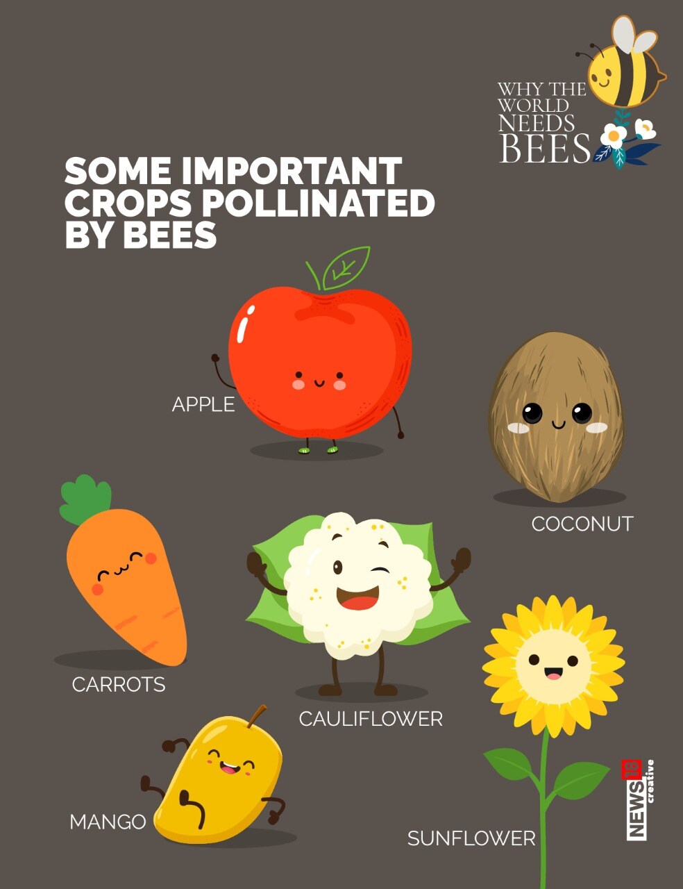 In Pics | On World Bee Day, Here's a Look at the Most Important ...