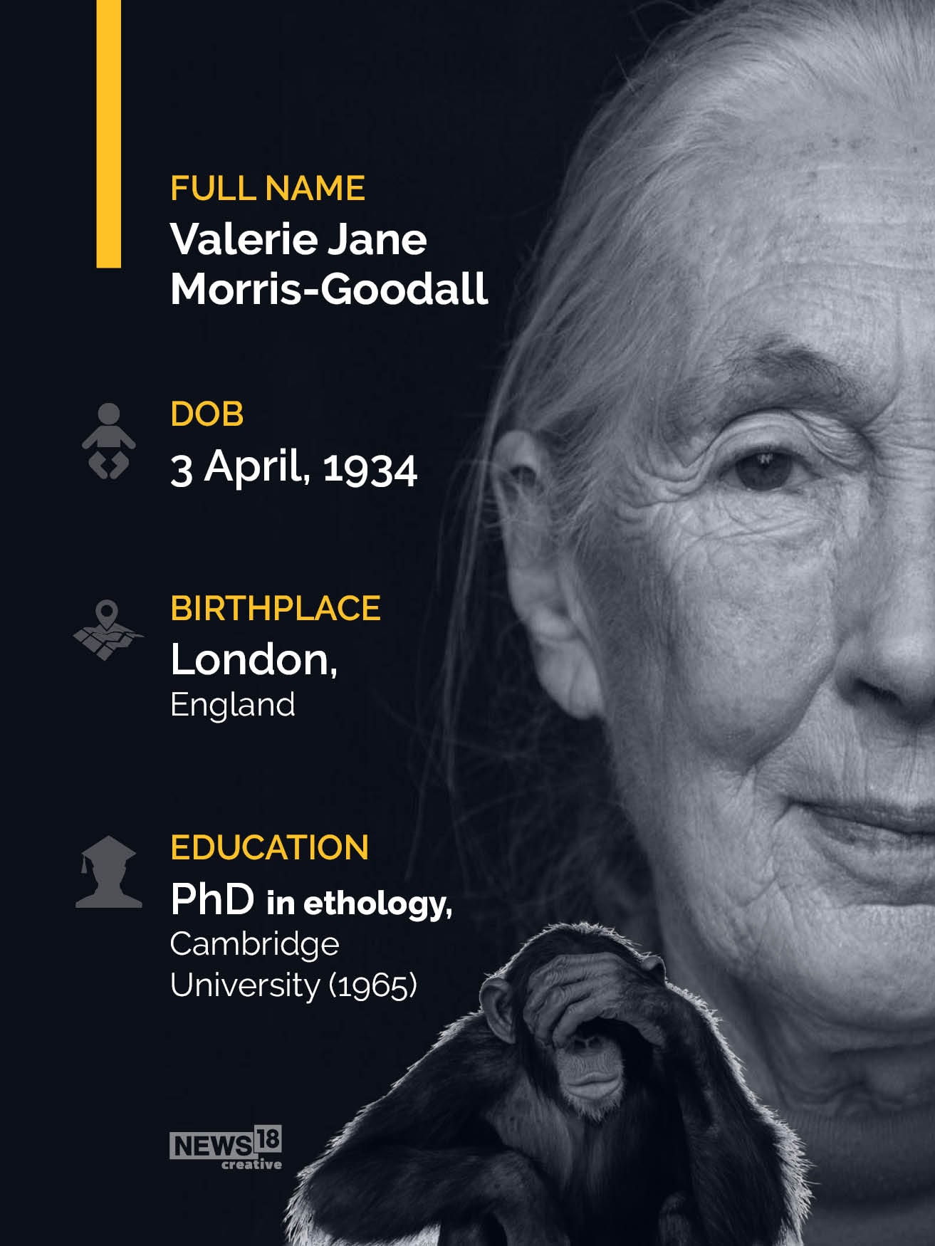 Who is Jane Goodall? News18 Gives Insight Into The Life of World ...