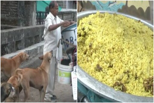 Nagpur Man Has Been Feeding Chicken Biryani to 190 Stray Dogs amid ...
