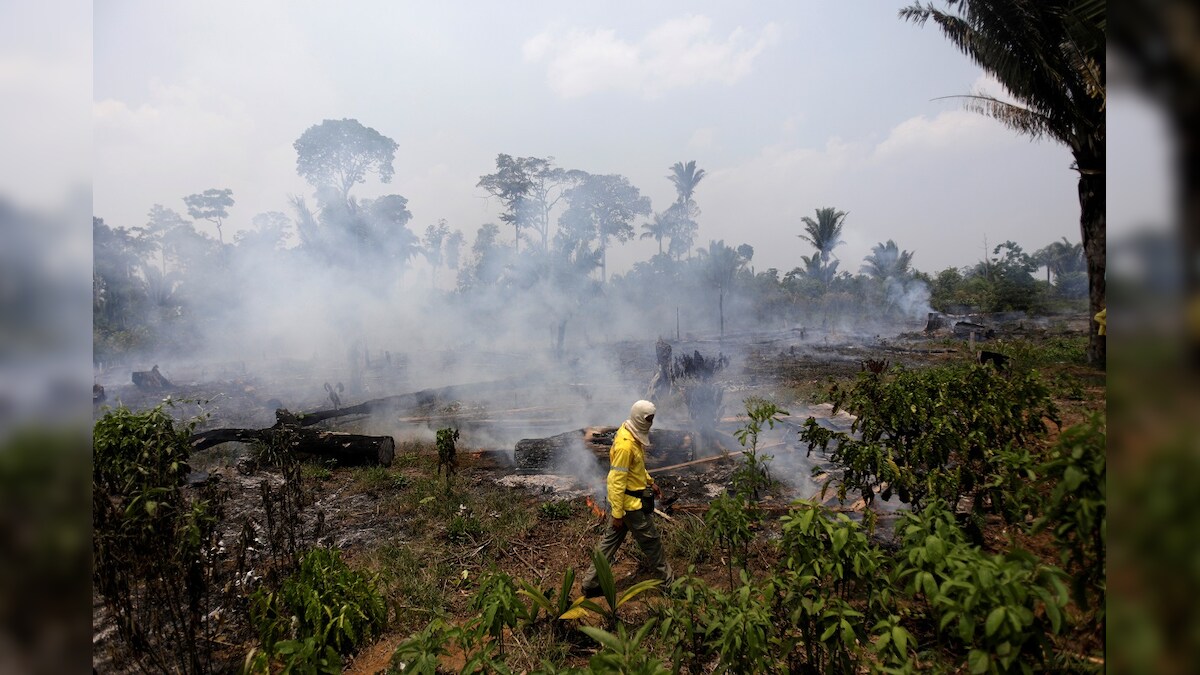 Humans Wiping Out Biodiversity Faster Than Asteroid Explosion That ...