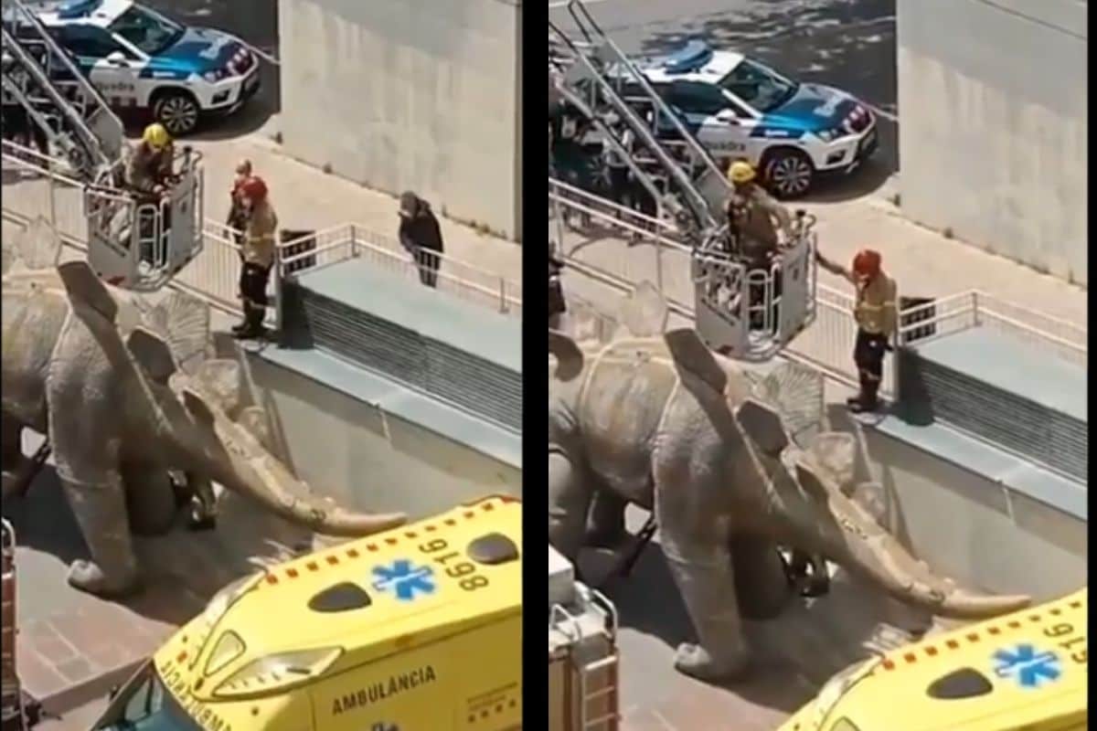 Man Found Dead inside a Dinosaur Statue after Being Reported Missing in ...
