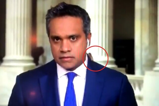 WATCH: Reporter Interrupted by a Cicada Crawling up His Neck on Live TV ...
