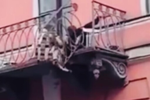 WATCH: Russian Couple Takes Arguing to New Low, Suffers 25-feet Fall ...