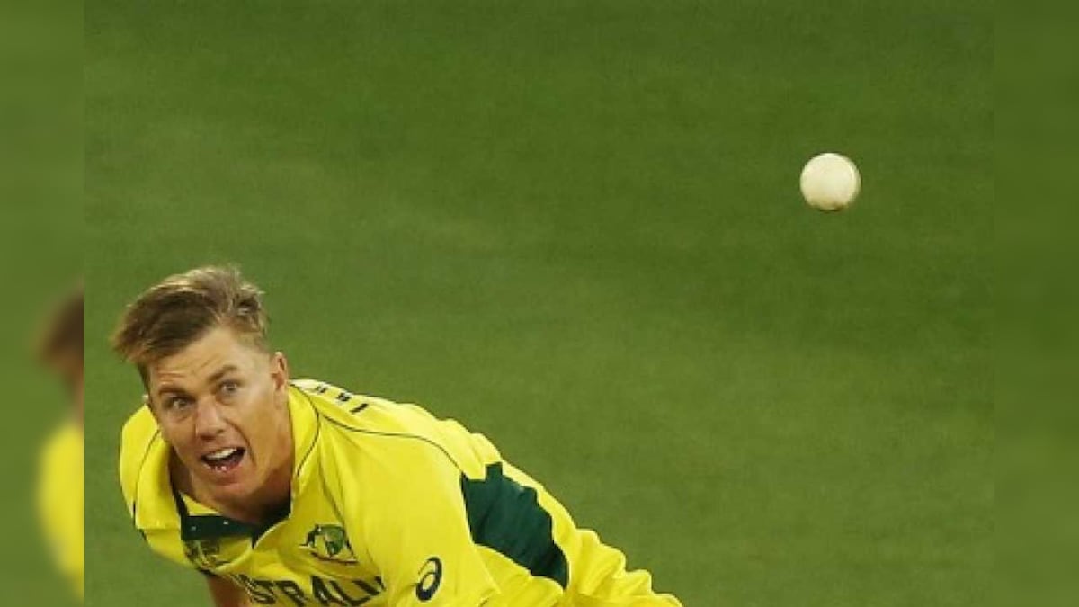 2015 Australian World Cup Winner Xavier Doherty Turns Carpenter - News18