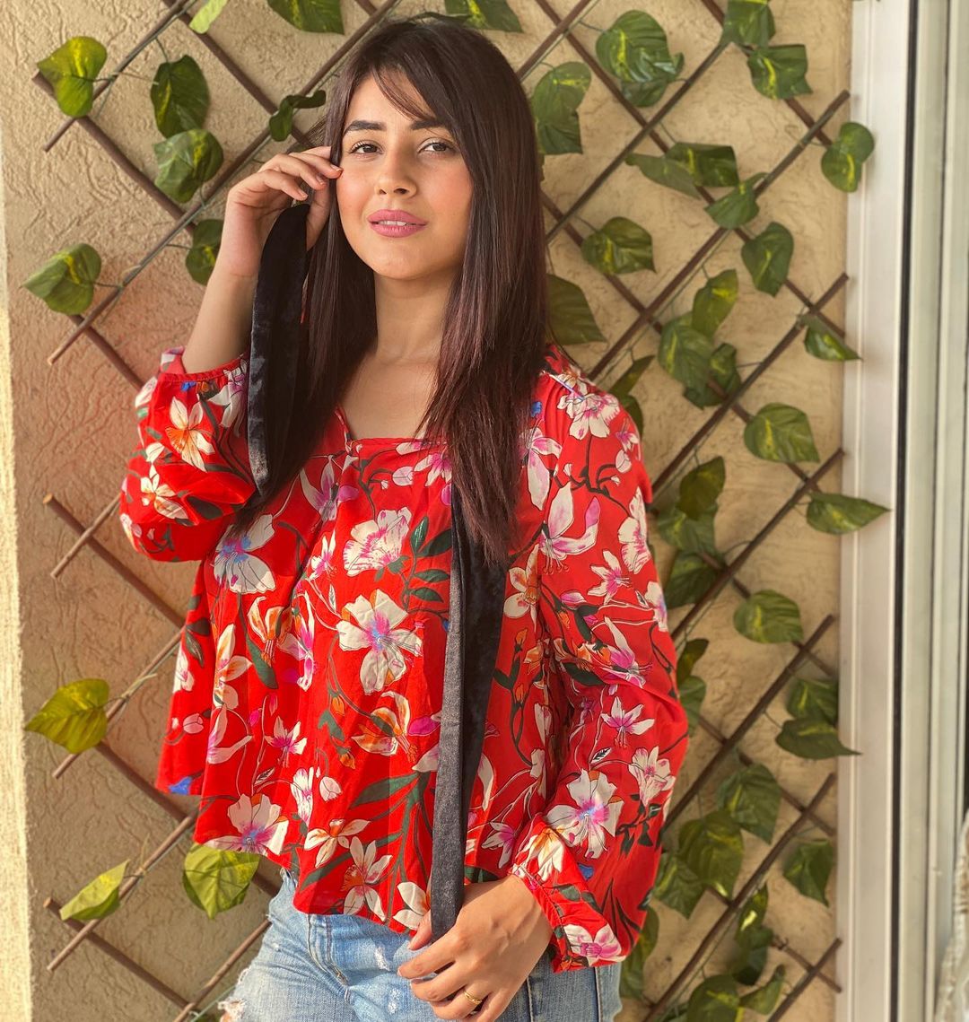 Shehnaaz Gill Makes Heads Turn In New Photo, Check Out The Diva's Sexy ...