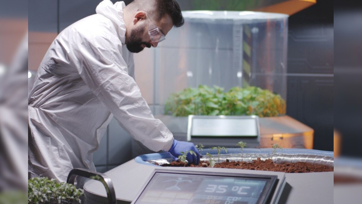 Astrobiology: Latest Course to Study about Universe, Origin of Life on ...