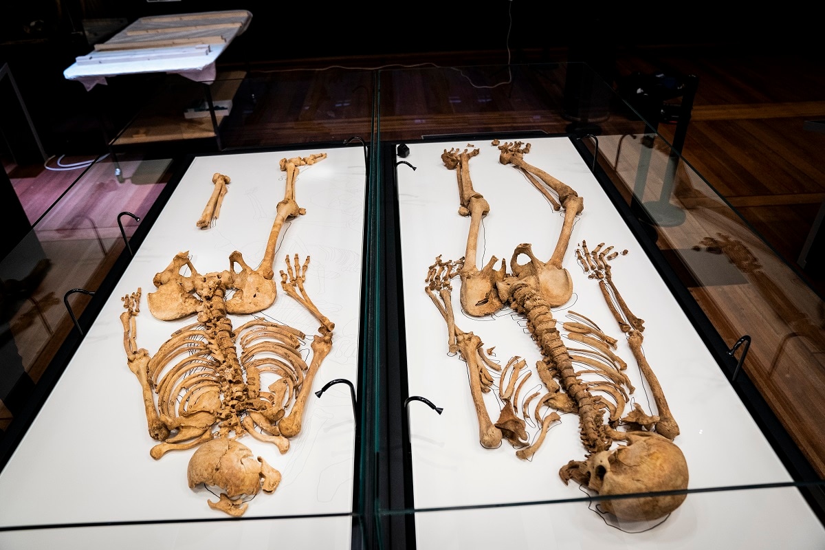 Skeletons of Related Viking-era Men Found in Denmark, England to ...