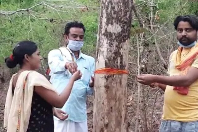 This Diamond Mine Project in MP’s Buxwaha Forest Could Claim Over 2 ...
