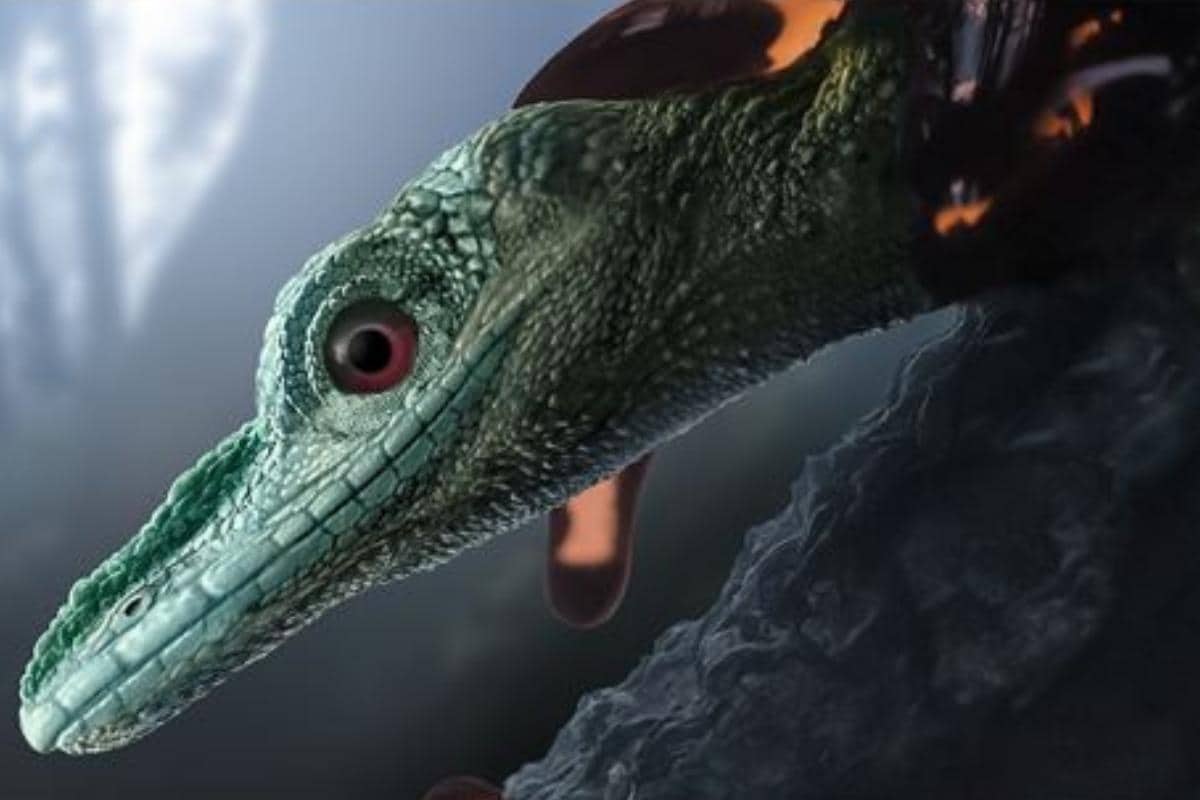 99-Million-year-old Fossil Thought to be 'Small Dinosaur' is Actually ...