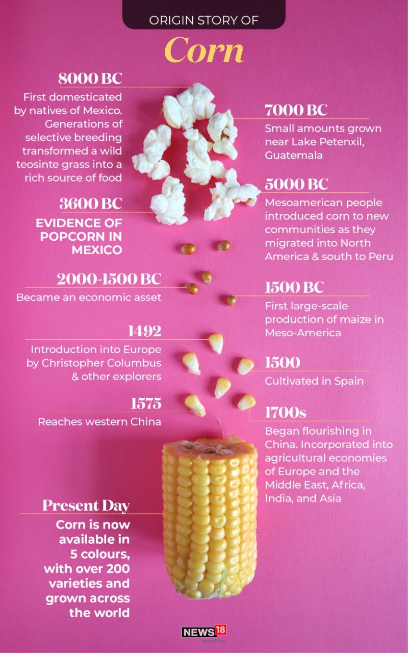 In Pictures: What has Changed in Cultivation of Veggies and Fruits Over ...