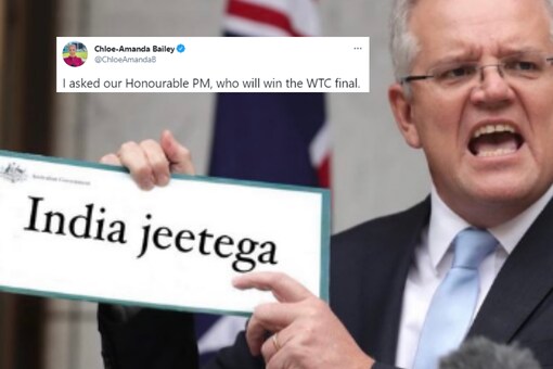 Desi Cricket Fans Gear Up With WTC Final Memes Ahead of Much-awaited ...