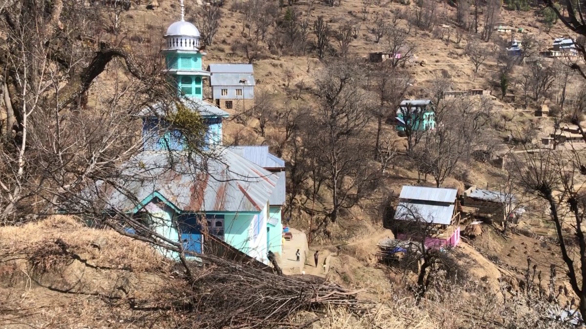 In this Jammu Village, the Dead Live on in the Trees | India News - News18
