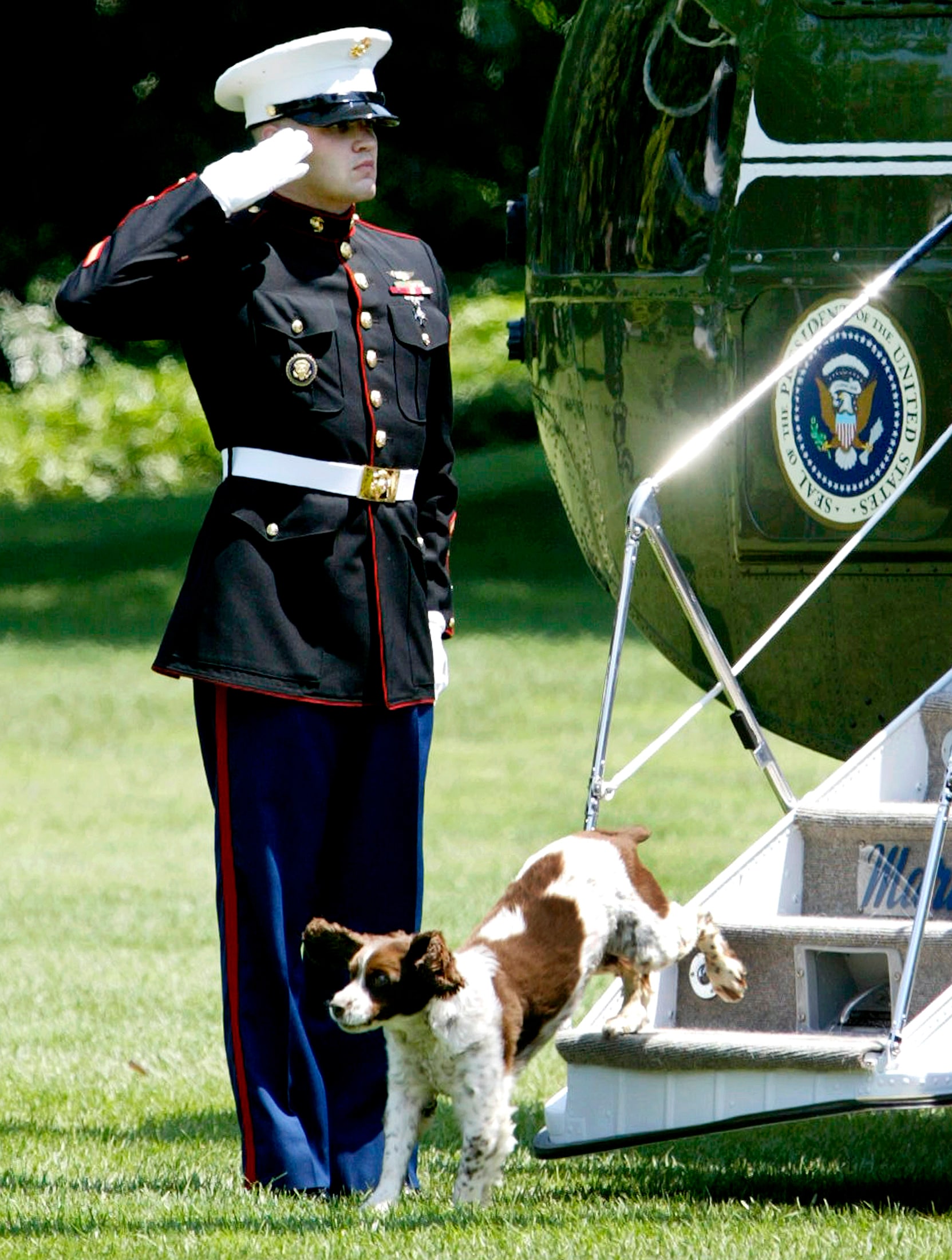 In Photos: As Biden Family Bids Adieu to 'Champ', a Look at US Presidential Pets Through the ...
