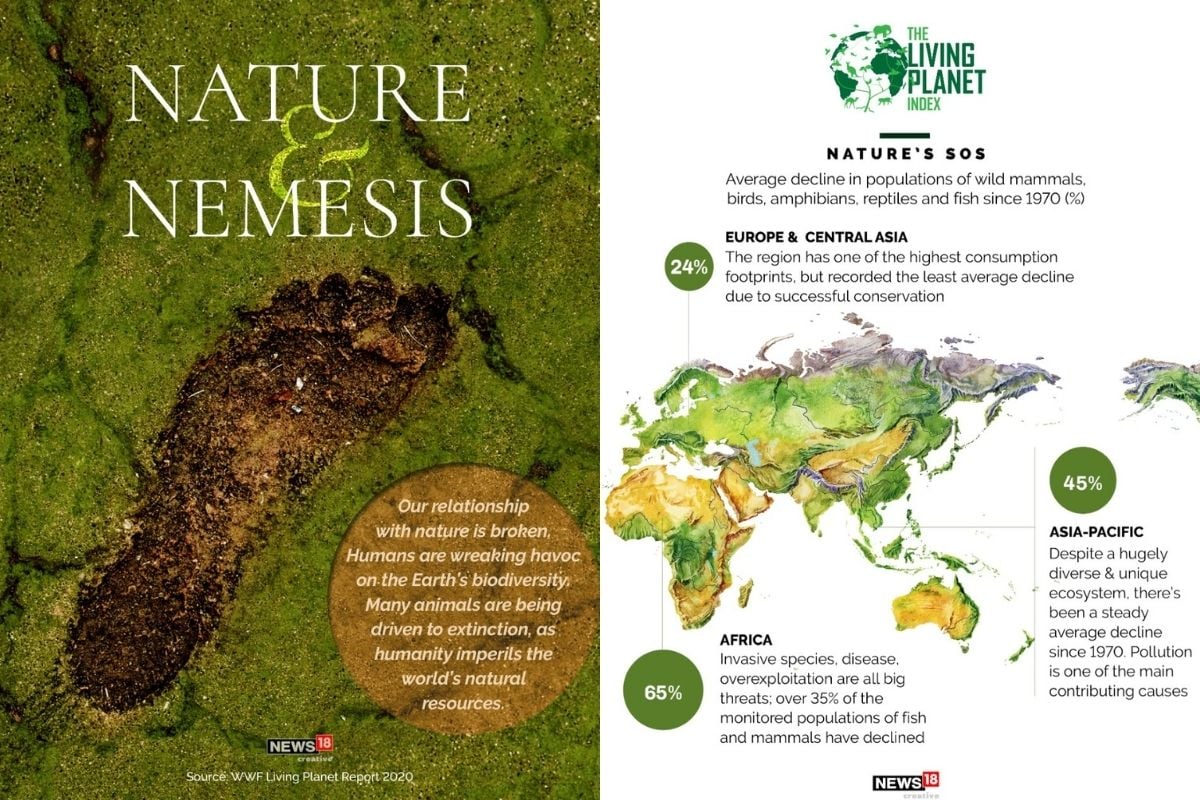 In Photos: How Humans are Wreaking Havoc on Earth's Biodiversity - News18