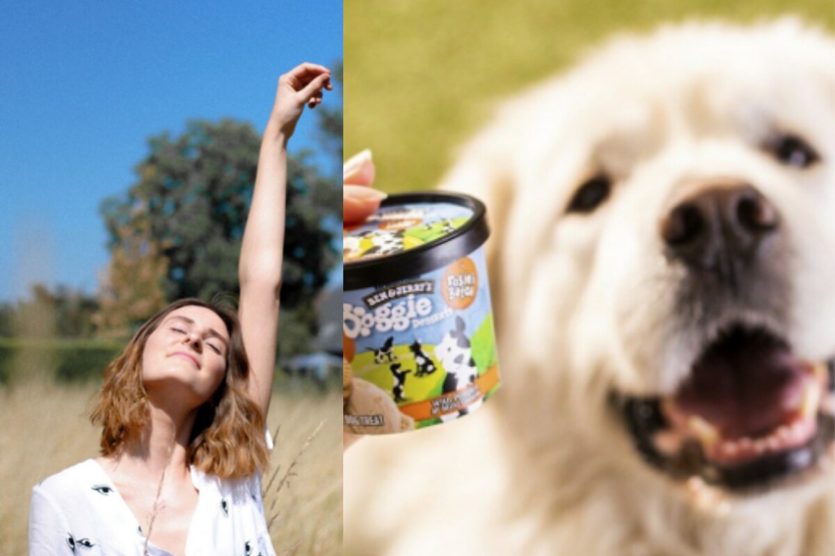 Armpit Sniffer To Dog Food Taster What Are The Weirdest Jobs In The World 