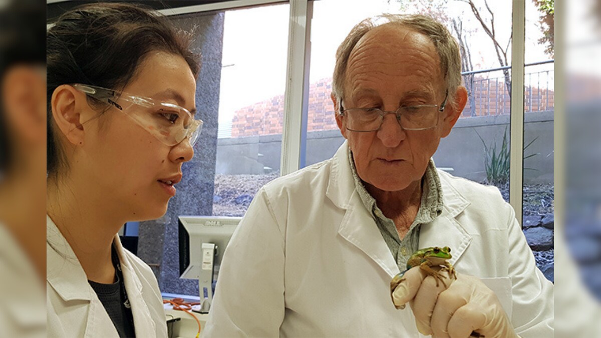 Frog Whisperer? This 70-Year-Old Australian Scientist Has Mastered the ...