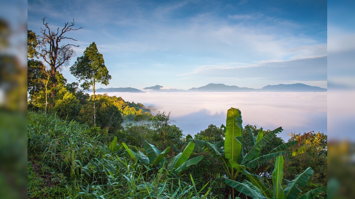 International Day of the Tropics 2021: Theme, History and Significance