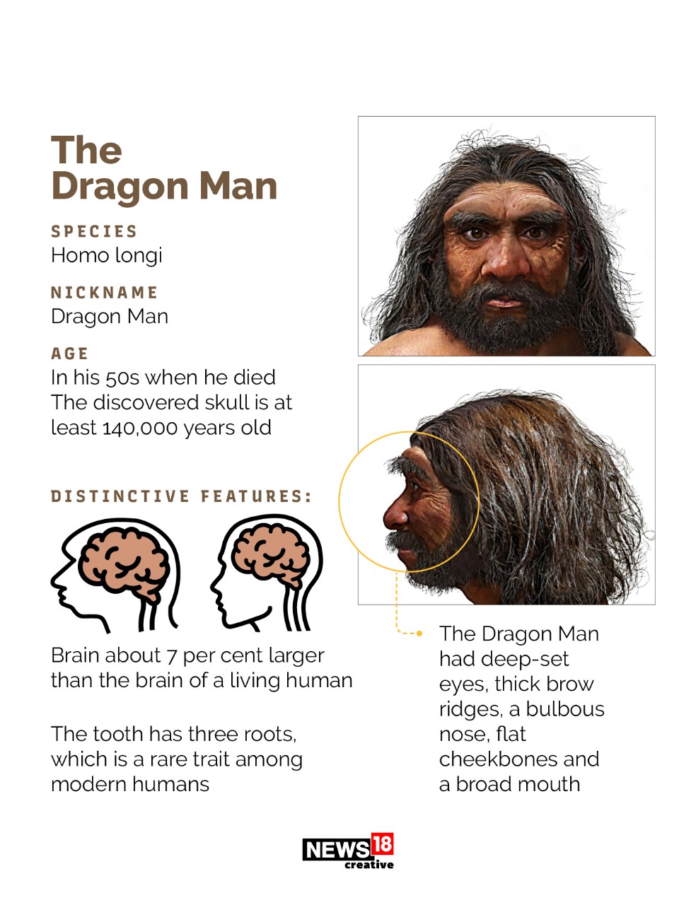 In Photos: Discovery of 'Dragon Man' Skull in China Forces Scientists ...