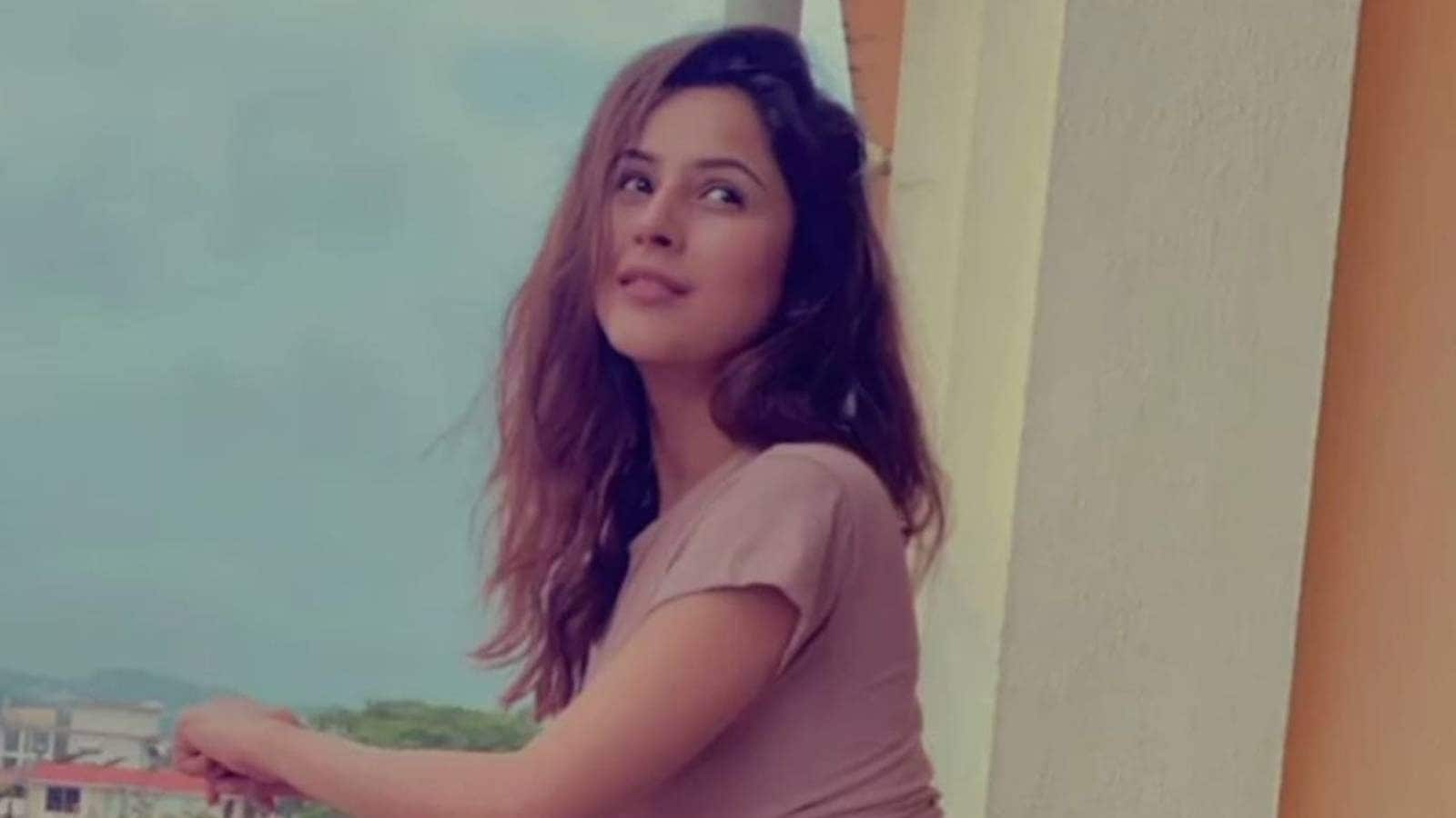 Shehnaaz Gill Makes Heads Turn In New Photo, Check Out The Diva's Sexy ...