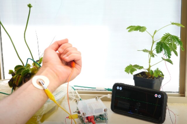 Science YouTuber Uses Brain to Communicate With Plant, Makes it Fall ...
