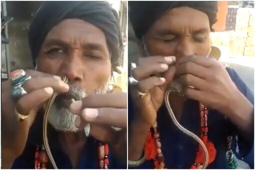 Watch: Man Inserting Live Snake inside Nose and Taking it Out of Mouth ...