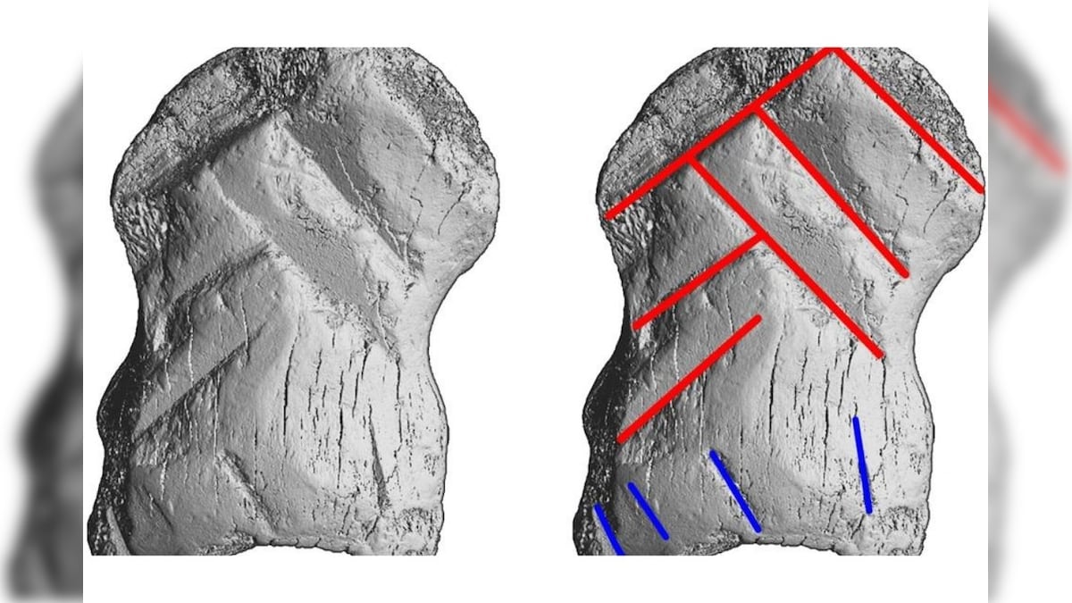 Engraved Ancient Bone Reveals Neanderthals Had their Own Artistic ...