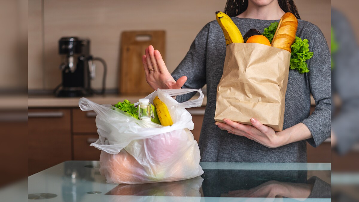Paper Bag Day 2021 History Significance And All You Need To Know paper-bag-day-2021-history-significance-and-all-you-need-to-know