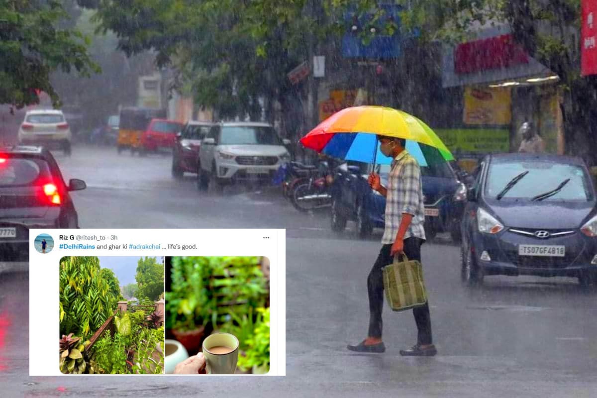 It's Raining Memes and Poetry on Twitter as Rains Finally Bring Respite ...