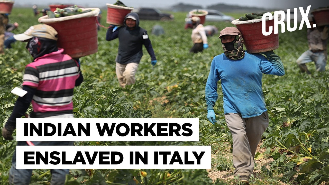 Italy’s Secret Slavery: Hundreds of Indians, Mostly Sikhs, Enslaved ...