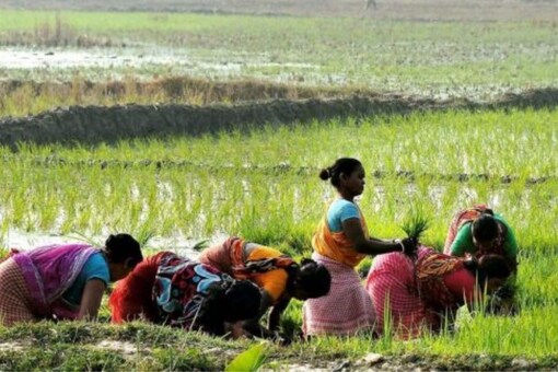 EXPLAINED: How Monsoon Got Held Up, Why Many Parts Are Yet To Get ...