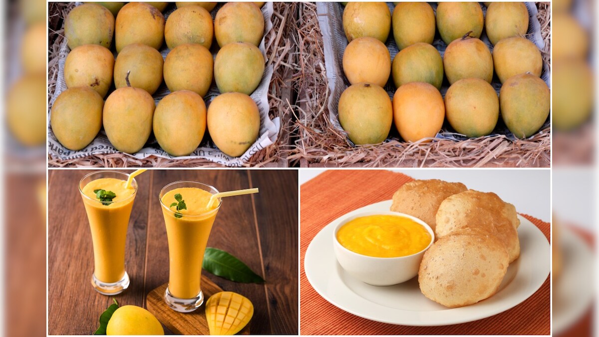 National Mango Day 2021: Meet Alphonso, the King of Mangoes; Check ...