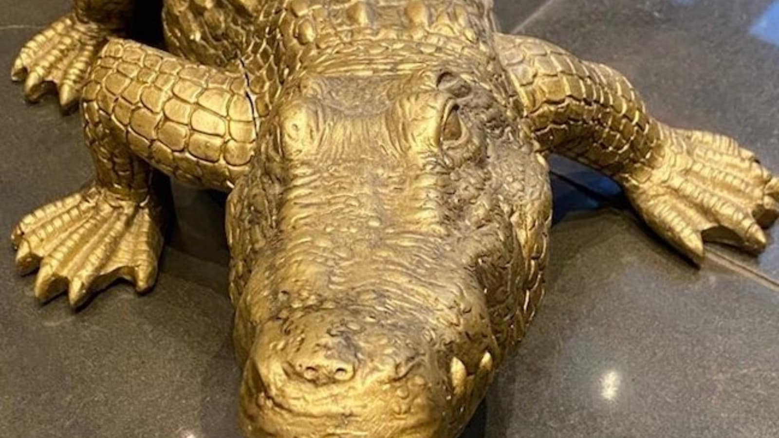 Canadian Woman Calls Police After Spotting Alligator, Turns Out to Be ...