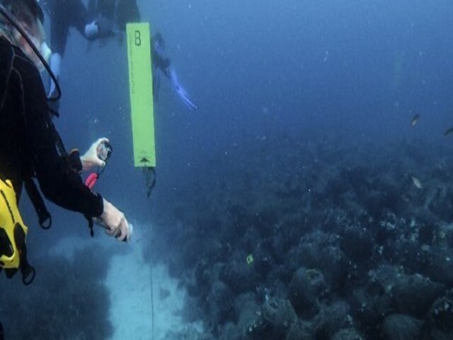 Greece's First Underwater Museum Opens Ancient World to Dive Tourists ...