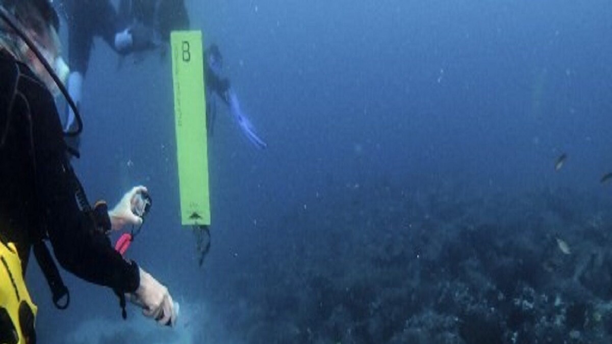 Greece's First Underwater Museum Opens Ancient World to Dive Tourists ...