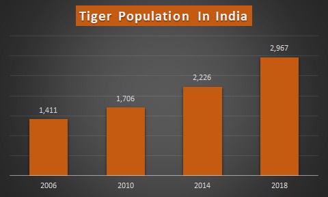 International Tiger Day: India Saw Over 300 Big Cat Deaths Since 2018 ...