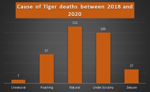 International Tiger Day: India Saw Over 300 Big Cat Deaths Since 2018 ...